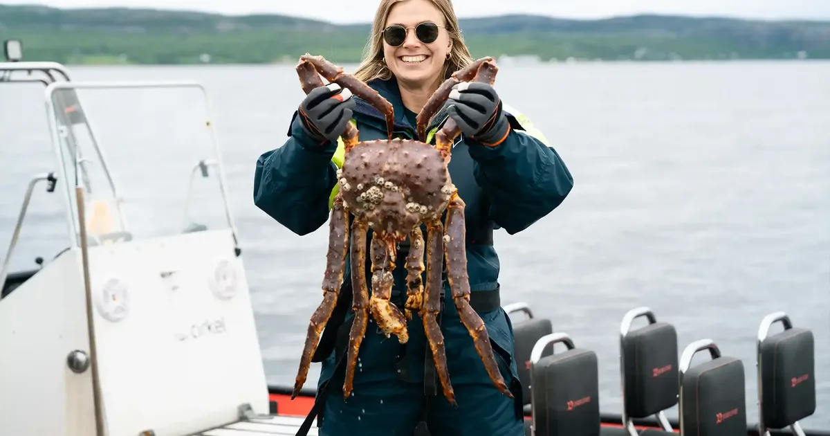 Arctic Ocean Package | Destination Tromso